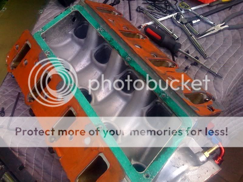 Typhoon intake mani install | LS1GTO Forums