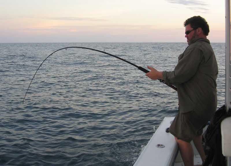 Sturgeon rod, which one today | IFish Fishing Forum