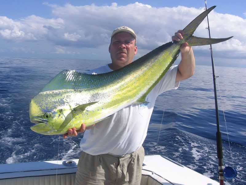 Spiral Wrap Salmon trolling rod | IFish Fishing Forum