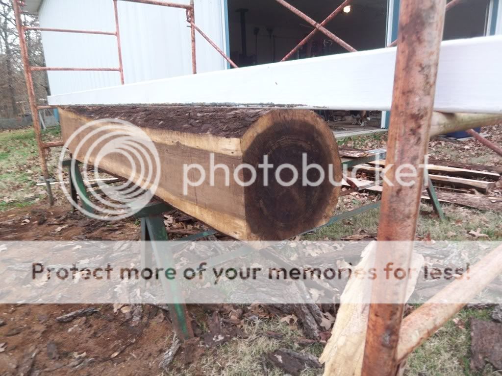 Scaffold Milling | Arborist, Chainsaw & Tree Work Forum