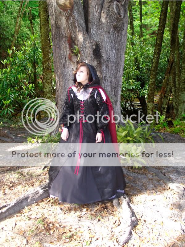 Simplicity Misses Renaissance Costumes 4488 pattern review by jennih76