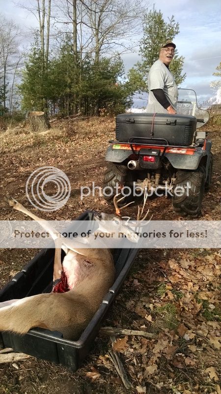 Got an 8 pointer yesterday | Archery Talk Forum
