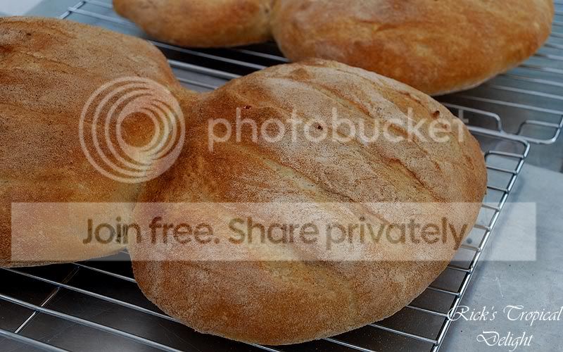 bread | THE BBQ BRETHREN FORUMS