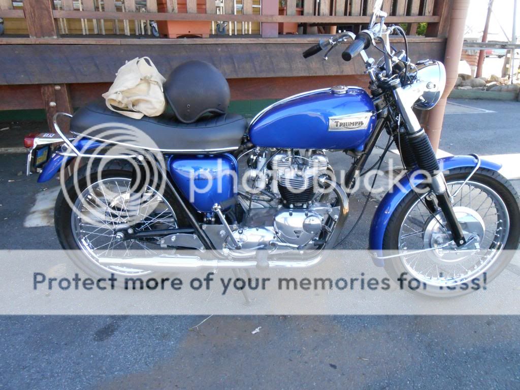 Cycle Pics: Hatsune Mikuni - The Something Awful Forums