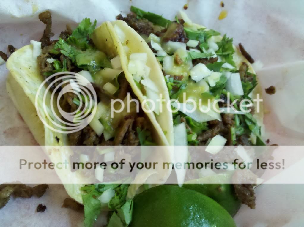 5TH Annual Spring Beach Run (info) | Page 3 | Toyota FJ Cruiser Forum